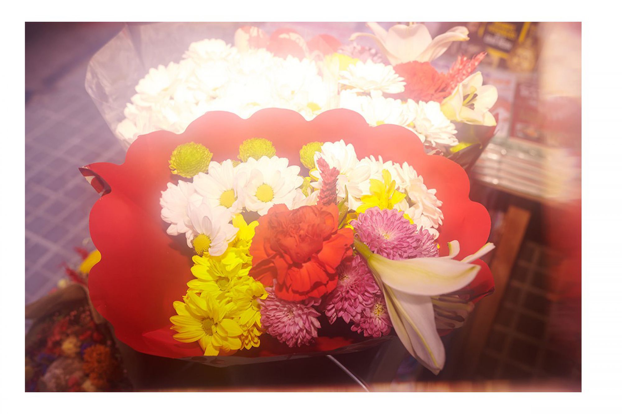 Cheche - BAM • we are CASEY - an artists agency